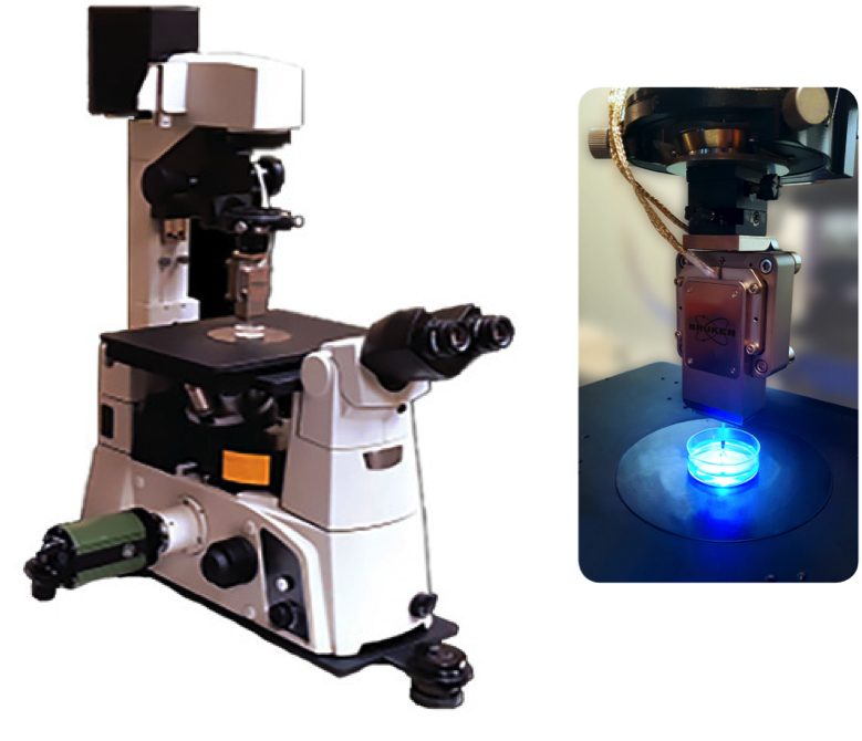 Bruker Hysitron BioSoft Indenter